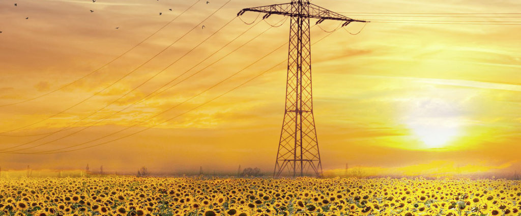 landscape-4813836_1450 | 社会福祉法人 日野学園